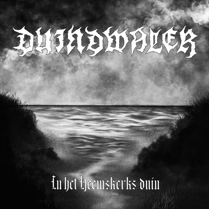 Duindwaler – In het Heemskerks duin – Addergebroed